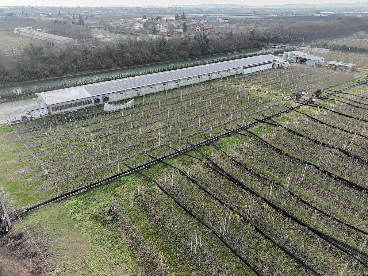 Inewa | Mitglied der Elevion Group hat die Asbestdachdeckung ersetzt und eine neue ...